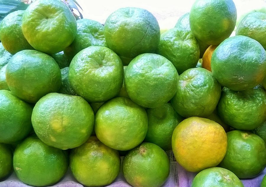 Mandarin – Digital Herbarium of Crop Plants