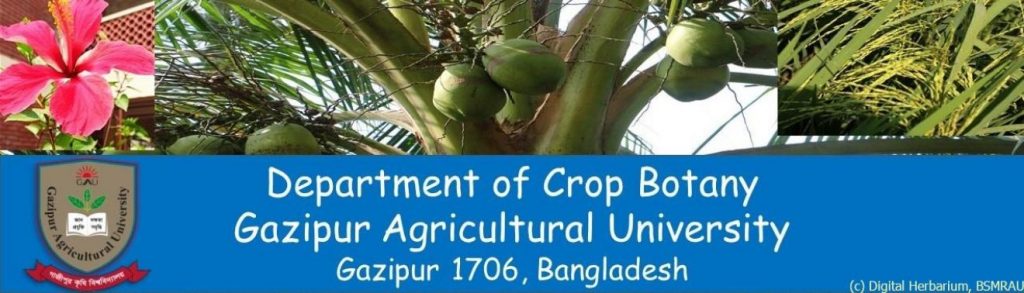 Jarul – Digital Herbarium of Crop Plants